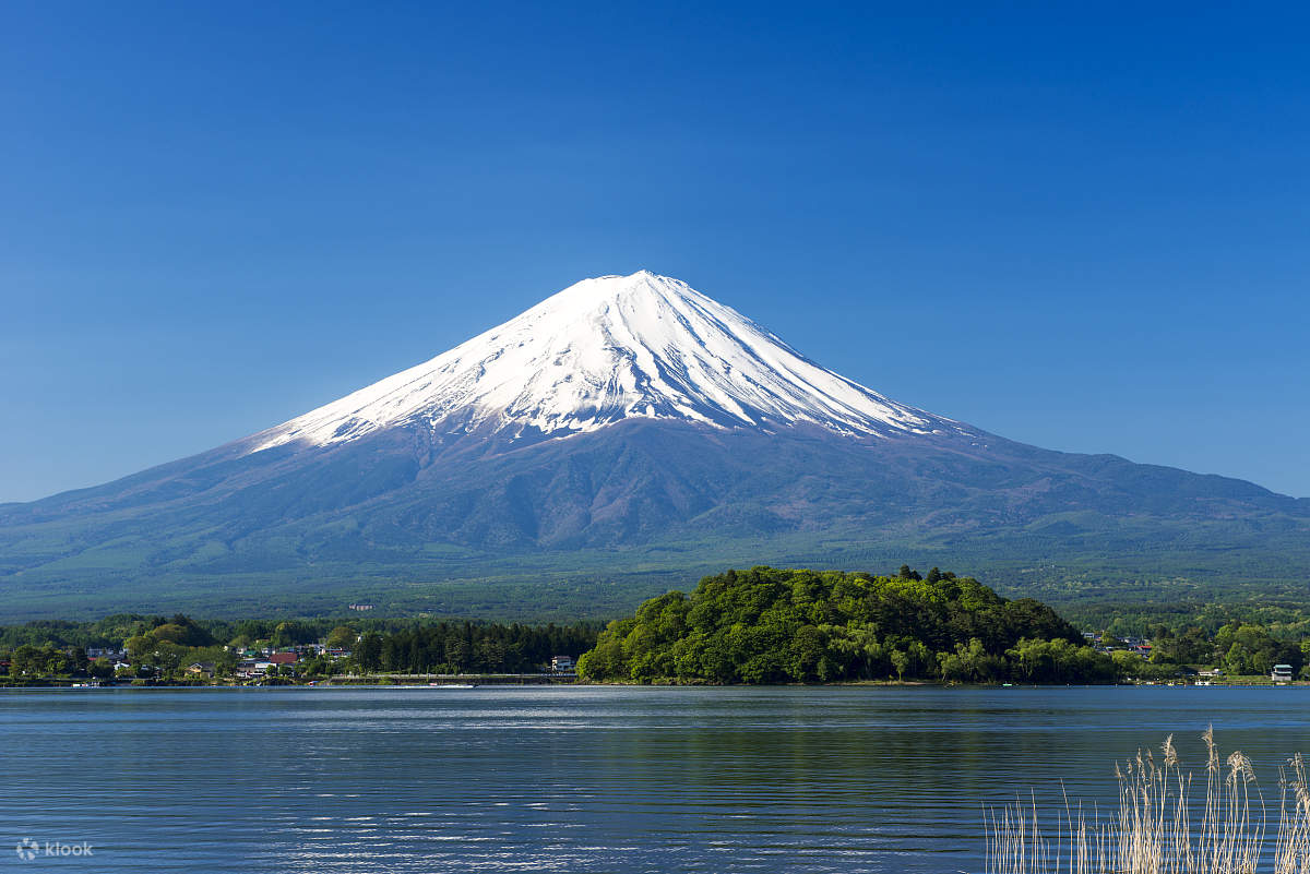 Mount Fuji, Kawakuchiko, and Arakurayama Sengen Park Join In Bus Tour ...